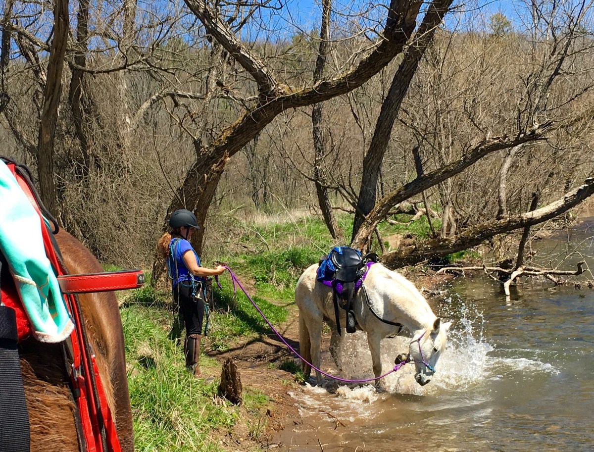 Never Hurry, Never Tarry – green to 100